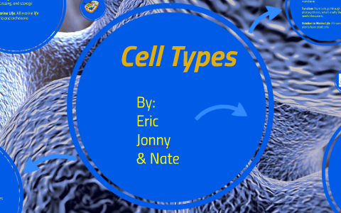 Cell Types by Eric Whitson on Prezi