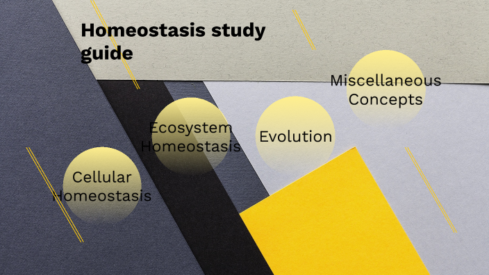 Homeostasis study guide by Jackson Smogor on Prezi