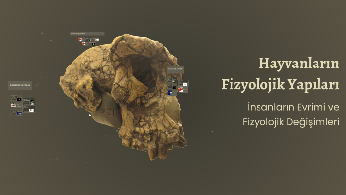 Hayvanların Fizyolojik Yapıları by Zeynep Atmaca on Prezi