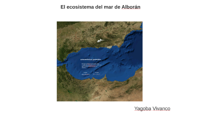 El ecosistema del mar de Alborán by yago vivanco on Prezi