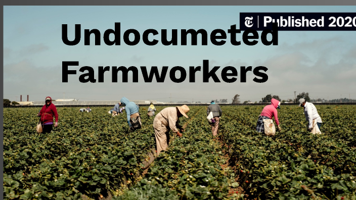 Undocumented Farmworkers by Ana Perez on Prezi