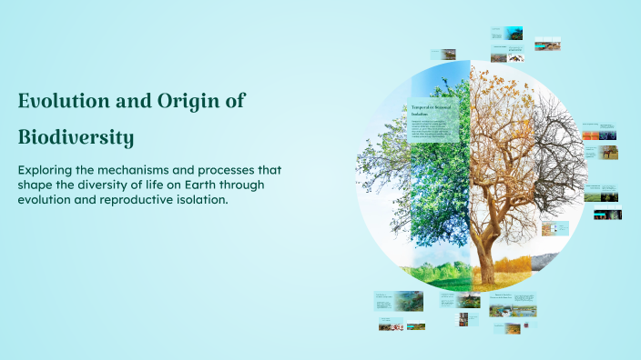 Evolution and Origin of Biodiversity by Precious Arnie Laine Mctaño on ...