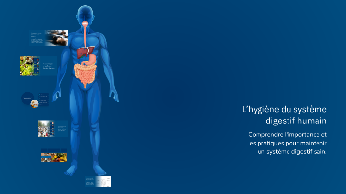 L’hygiène du système digestif humain by Yasser In Learning on Prezi