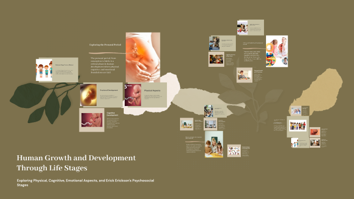 Human Growth and Development Through Life Stages by Kamryn O'Connor on ...
