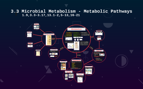 3.3 Microbial Metabolism - Metabolic Pathways by Mark Pilgrim on Prezi