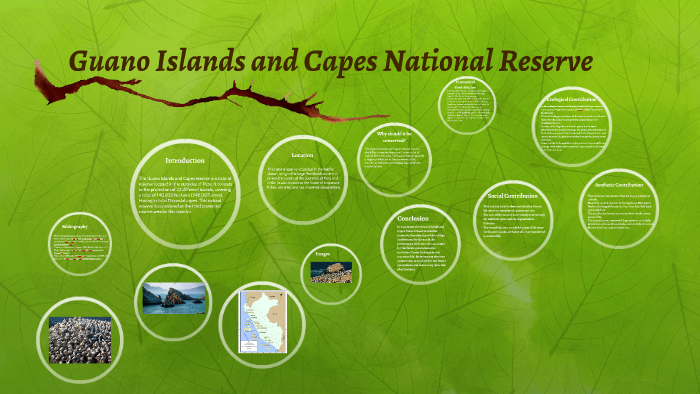 Guano Islands and Capes National Reserve by Renato Lopez on Prezi