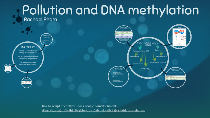 Pollution & DNA methylations by rachael pham on Prezi