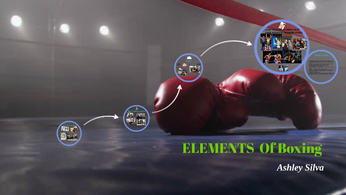 ELEMENTS Of Boxing by Ashley Silva on Prezi
