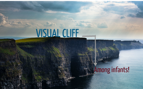 VISUAL CLIFF AMONG INFANTS by Prisca So on Prezi