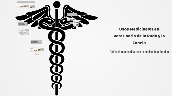 Usos Medicinales en Veterinaria de la Ruda y la Canela by Juan ...