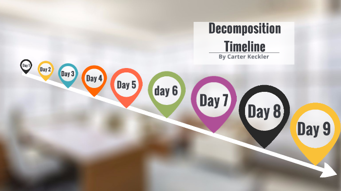 decomposition timeline by Robert Keckler on Prezi