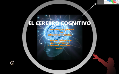 El Cerebro Cognitivo By Phamela Sanchez On Prezi