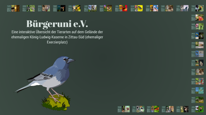 Artenliste der Tierarten by Evelyn Kern on Prezi