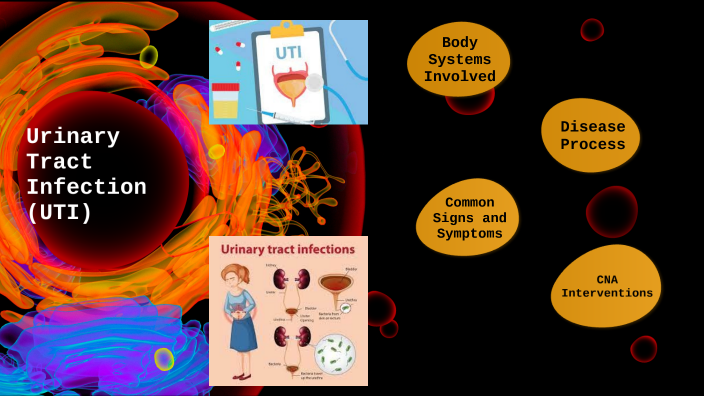 Urinary Tract Infection (UTI) by Zoe Feinstein on Prezi
