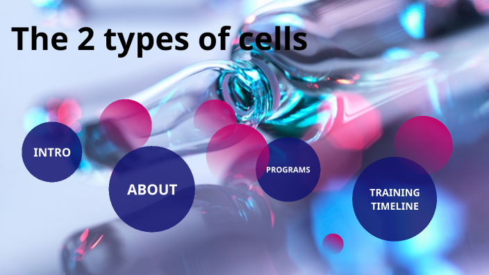The 2 types of cells by Pierluigi Loforese Year 6 on Prezi
