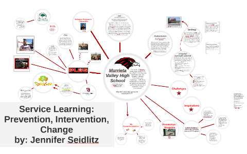 Service Learning: Prevention, Intervention, Change by Jennifer Seidlitz ...