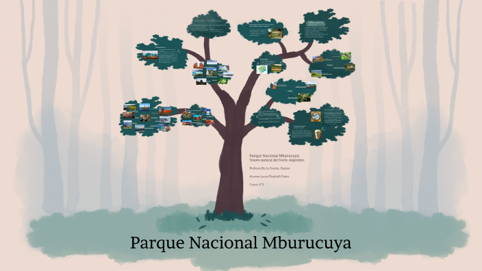 parque nacional mburucuya by laura farias on Prezi