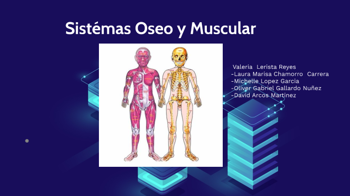 Sistéma Óseo y Muscular by michelle lopez on Prezi