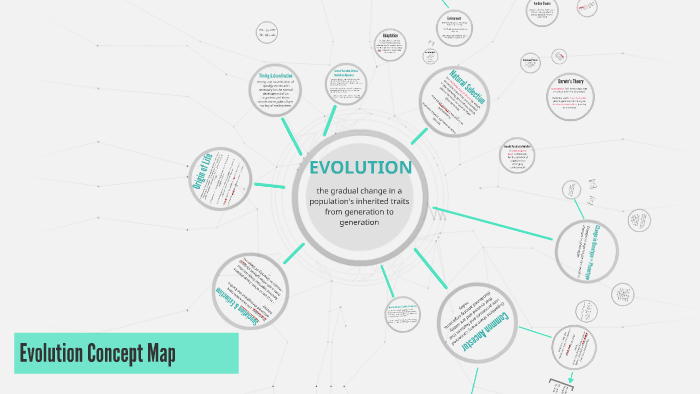 Evolution Concept Map by Amy Peng on Prezi