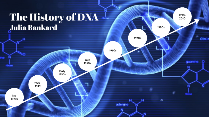 The History of DNA by Julia Bankard on Prezi