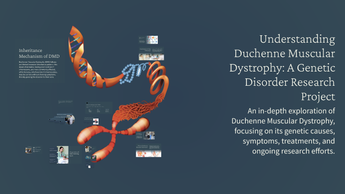 Understanding Duchenne Muscular Dystrophy: A Genetic Disorder Research ...