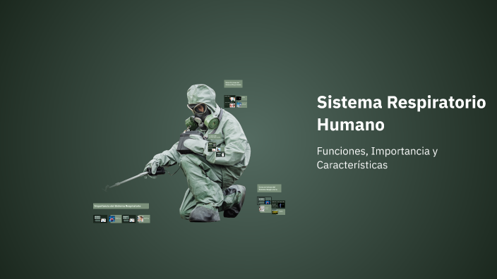 Sistema Respiratorio Humano by shirley sequeira on Prezi
