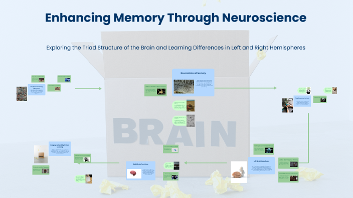 Enhancing Memory Through Neuroscience by karanpreet singh on Prezi