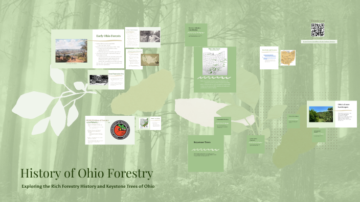 Ohio Forestry History by Alyssa Myers on Prezi