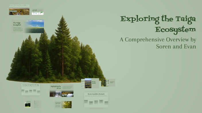 Exploring the Taiga Ecosystem by evan archambault on Prezi