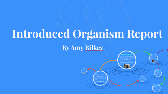 Introduced Organism Report by Amy Bilkey on Prezi