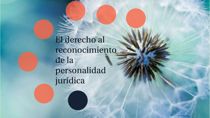 El Derecho Al Reconocimiento De La Personalidad Jurídica By Andrea