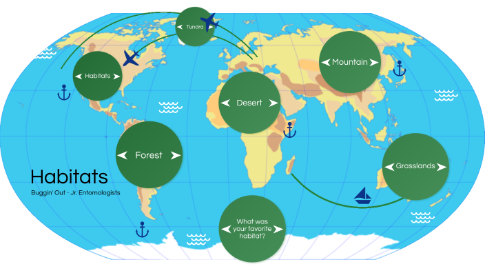 Bug Habitats by Desirae Nelson on Prezi