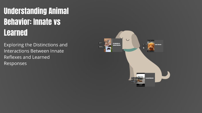 Understanding Animal Behavior: Innate vs Learned by Rui YANG on Prezi