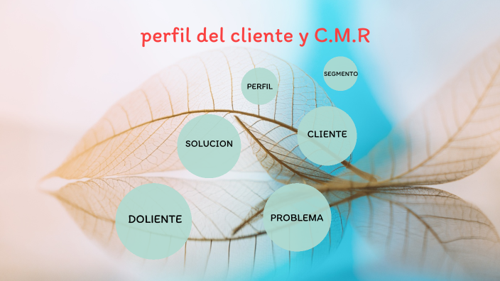 PERFIL Y CMR by Juan felipe on Prezi