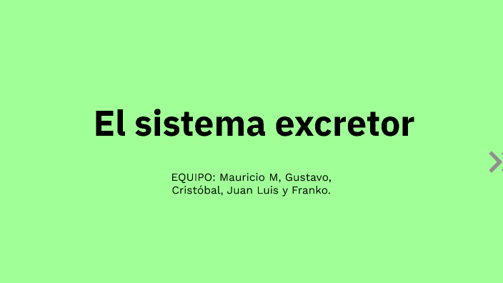 El Sistema Excretor by Franko Ventura Contreras on Prezi