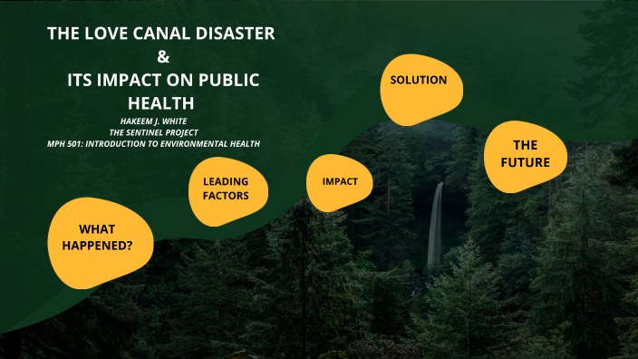 THE LOVE CANAL DISASTER & ITS IMPACT ON PUBLIC HEALTH by Hakeem White ...