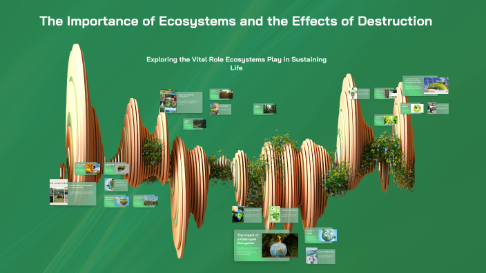 The Importance of Ecosystems and the Effects of Destruction by ash poy ...