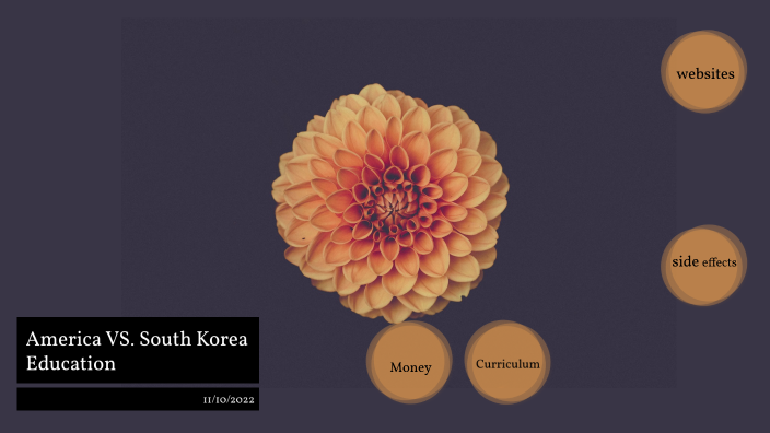 America vs. South Korea by Noor Taleb on Prezi