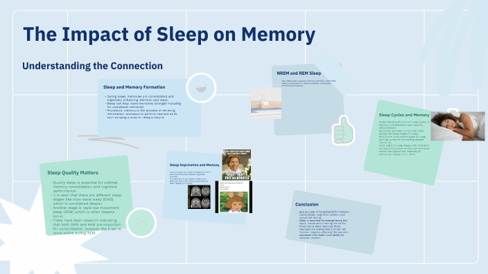 The Impact of Sleep on Memory by Raechel Park on Prezi
