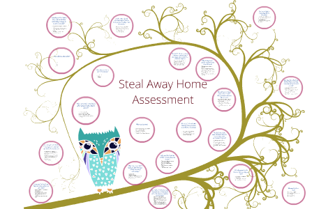 Steal Away Home Assessment from Quia by Cassie Wentworth
