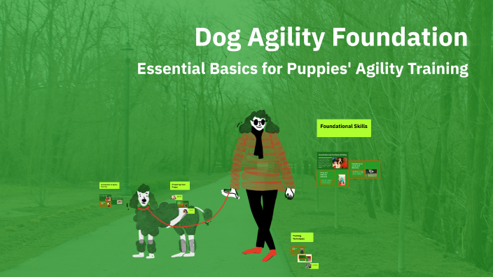 Dog Agility Foundation by Therese Svensson Personal SSG on Prezi