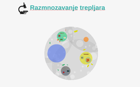 Razmnozavanje trepljara by Teodora Markovic on Prezi
