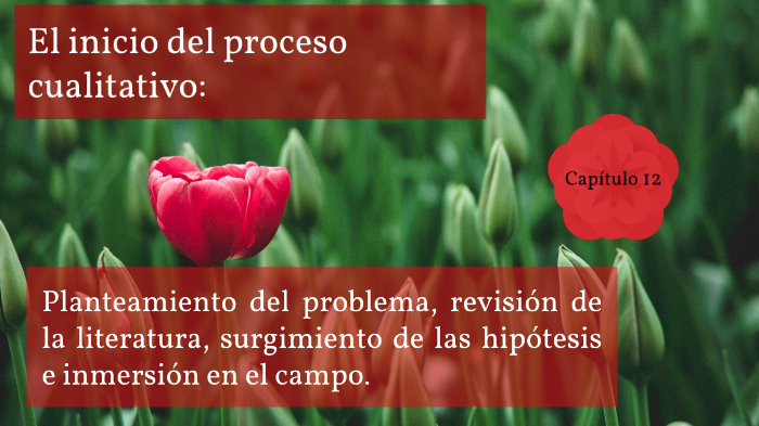 El inicio del proceso cualitativo by Jesus Adrian on Prezi