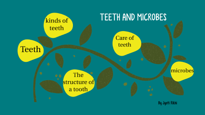 Teeth and microbes by Jyoti Rikhi on Prezi
