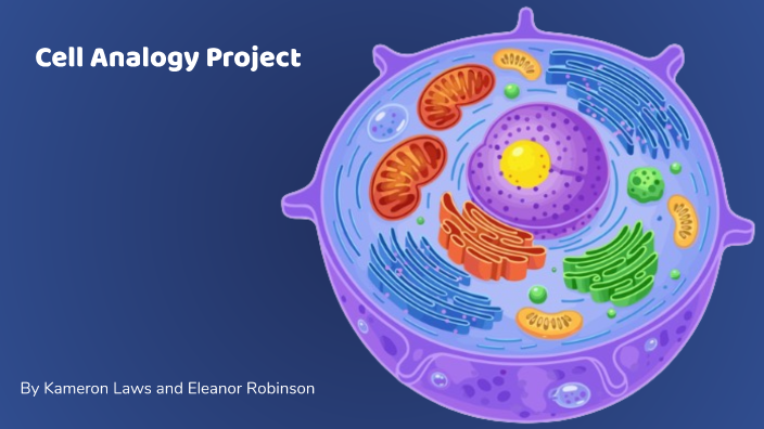 Cell Analogy project by Kameron laws on Prezi