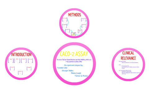 Caco-2 Assay by Patricia Pharm on Prezi