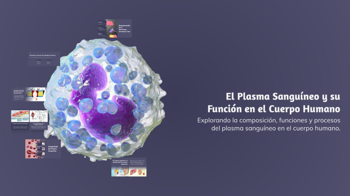 El Plasma Sanguíneo y su Función en el Cuerpo Humano by Eduardo Ramirez ...