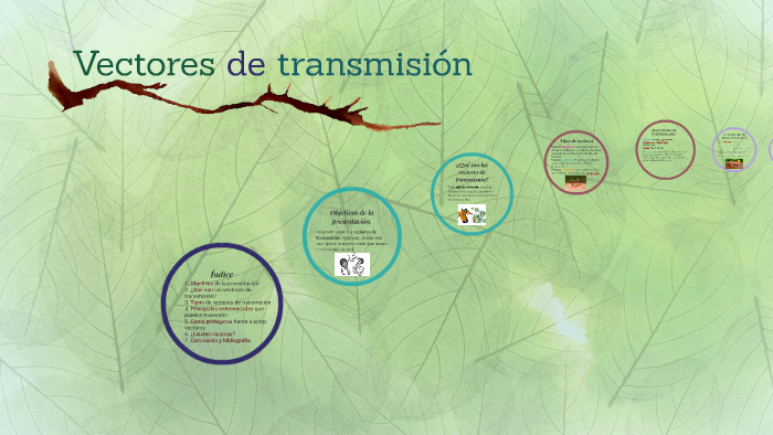 Vectores de trasmisión by David Pedro Jesus on Prezi
