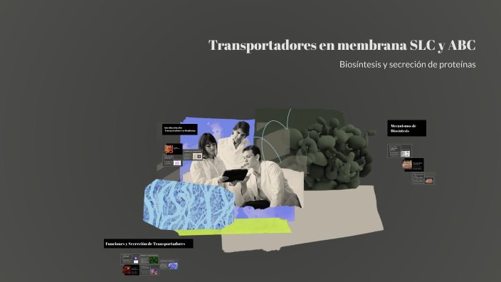 Transportadores en membrana SLC y ABC by Ángela Villa on Prezi