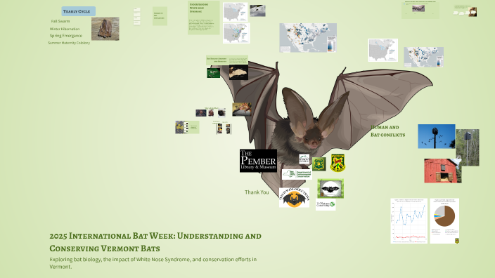2025 International Bat Week: Understanding and Conserving Vermont Bats ...